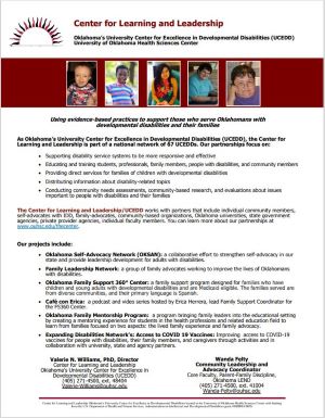 The Center for Learning and Leadership > Publications > Publication Details